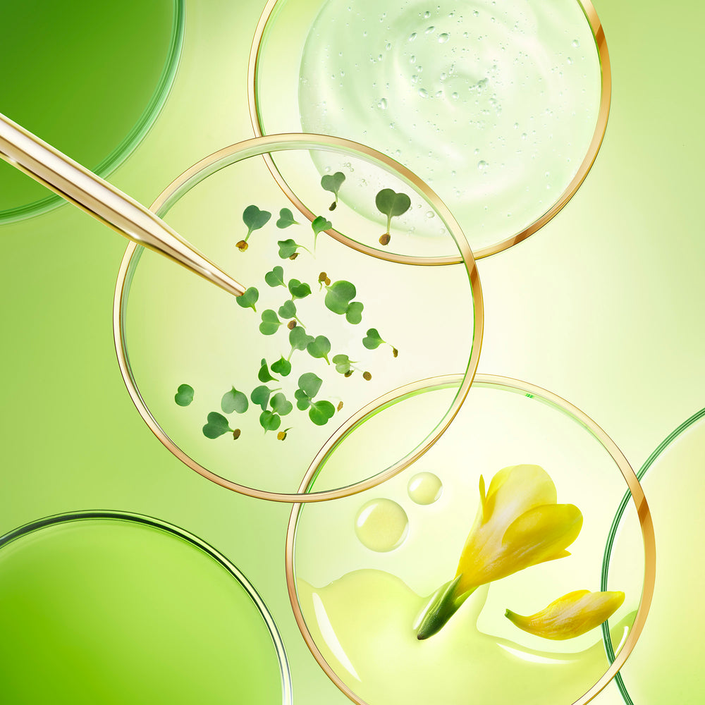 Anti-Spot Hand Cream, Nuxuriance Ultra | NUXE